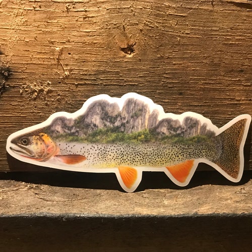 RAINBOW TROUT Vinyl Sticker Fish Art Decal - Etsy