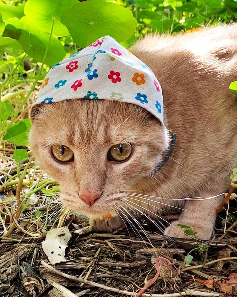 Cat Bonnet / Bandana PDF Pattern & Tutorial - Etsy