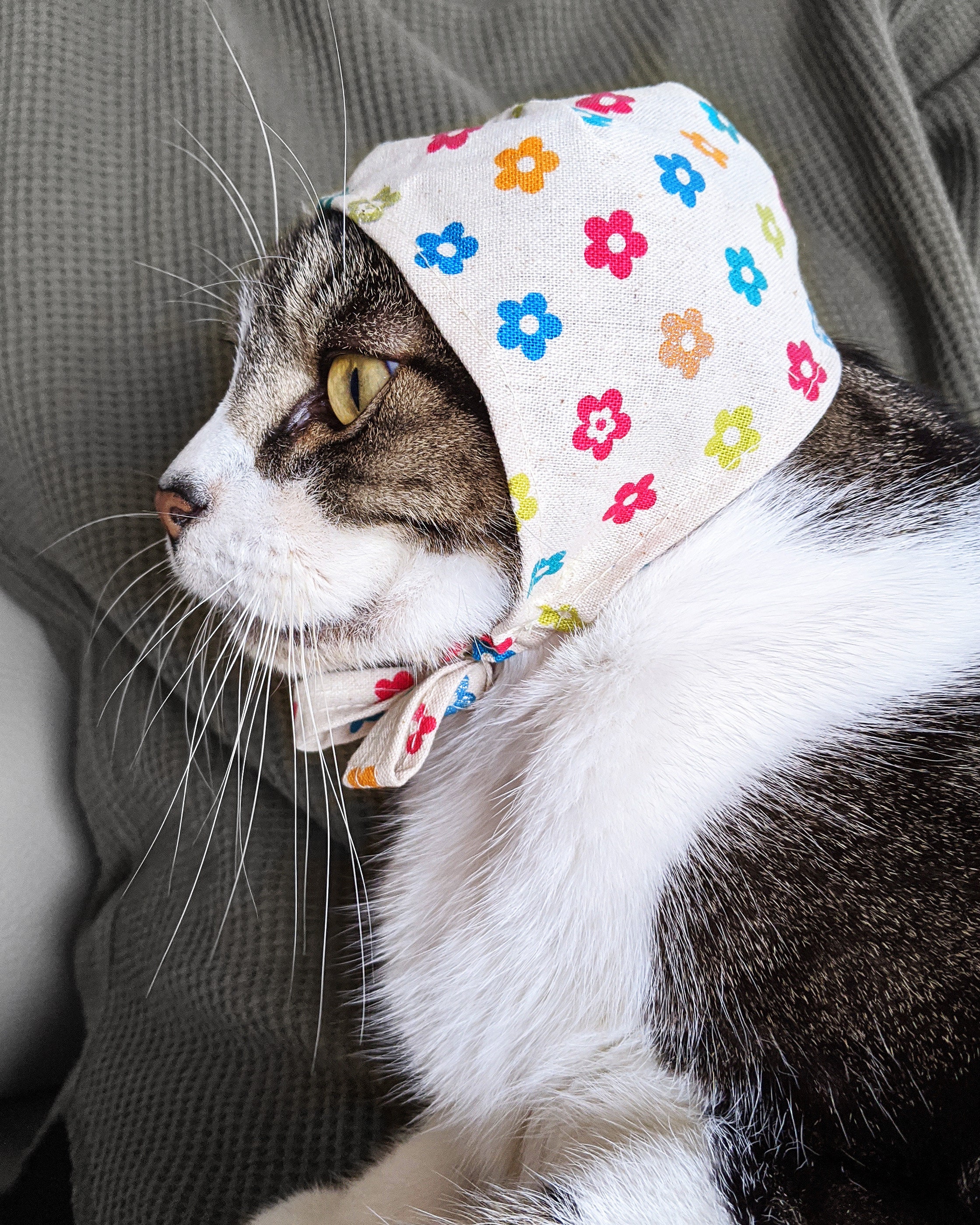 Cat Bonnet / Bandana PDF Pattern & Tutorial - Etsy