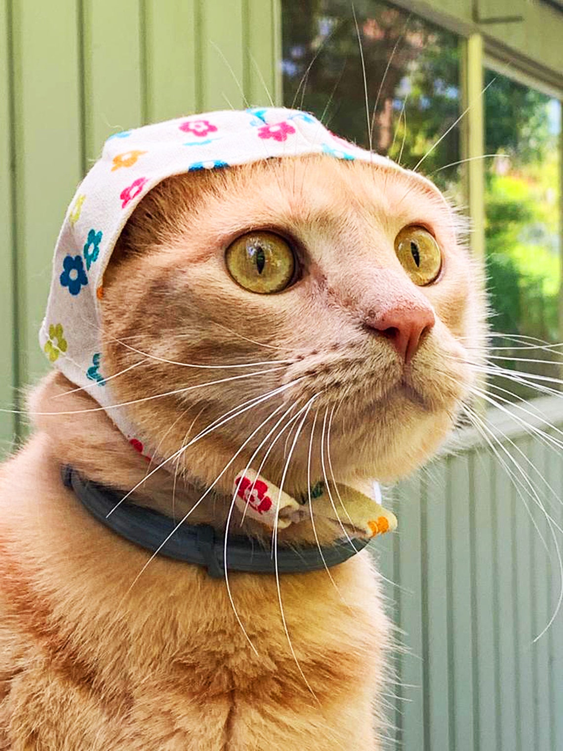 Cat Bonnet / Bandana PDF Pattern & Tutorial - Etsy
