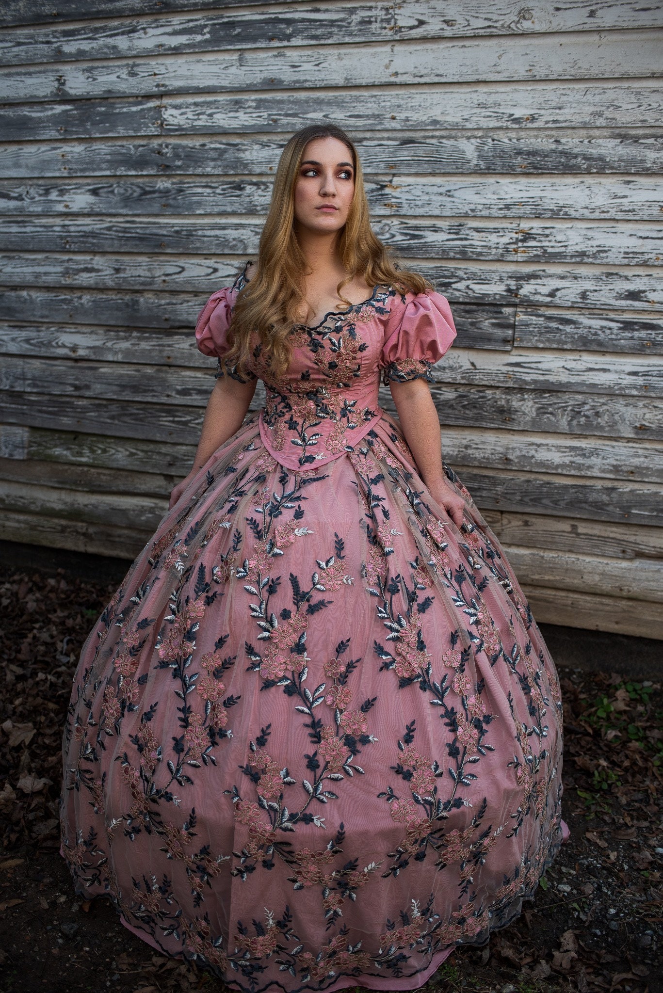 Off Shoulder Princess Ball Gown Costume With Lace Overlay - Etsy