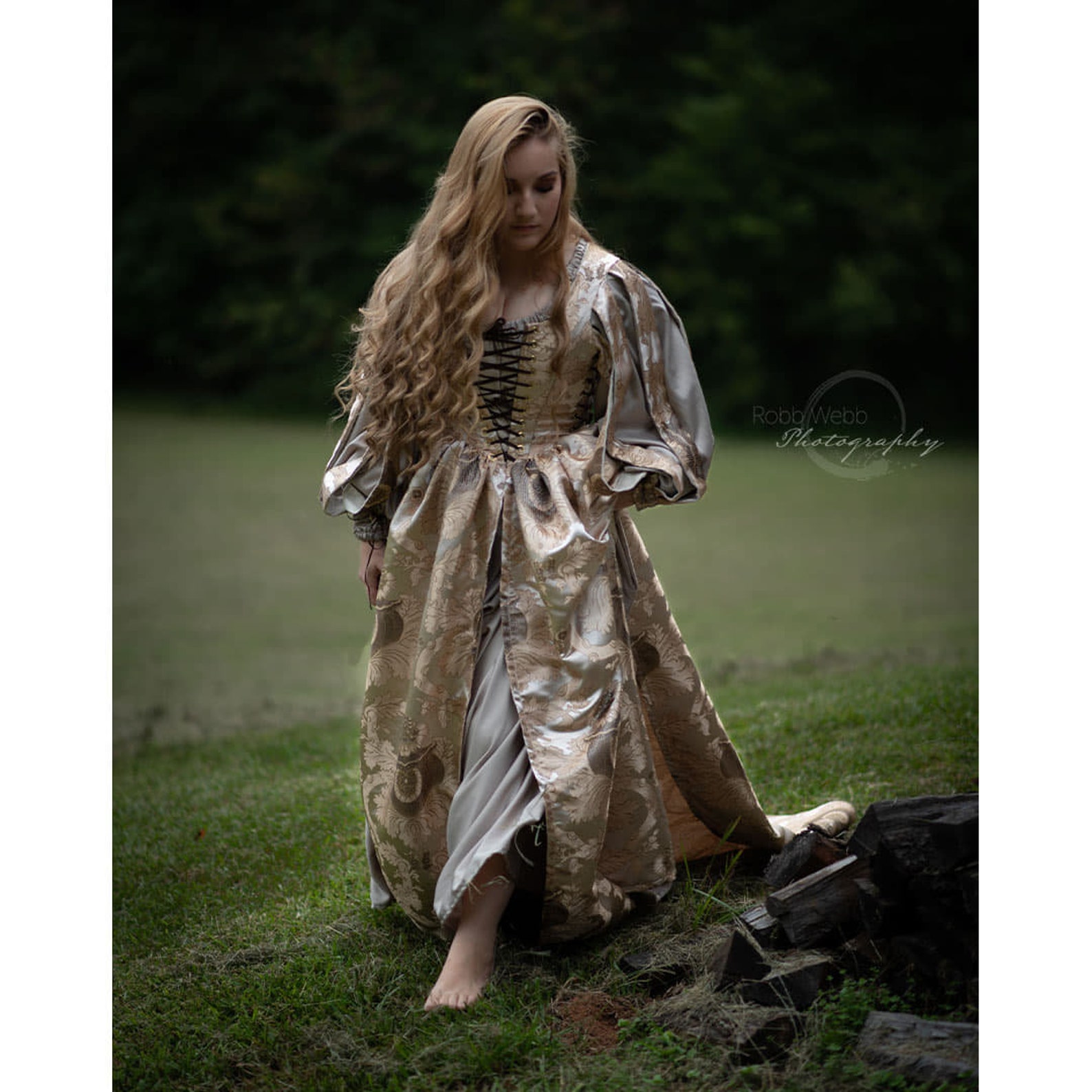 Multi Panel Bodice Overdress Perfect for Any Princess or | Etsy