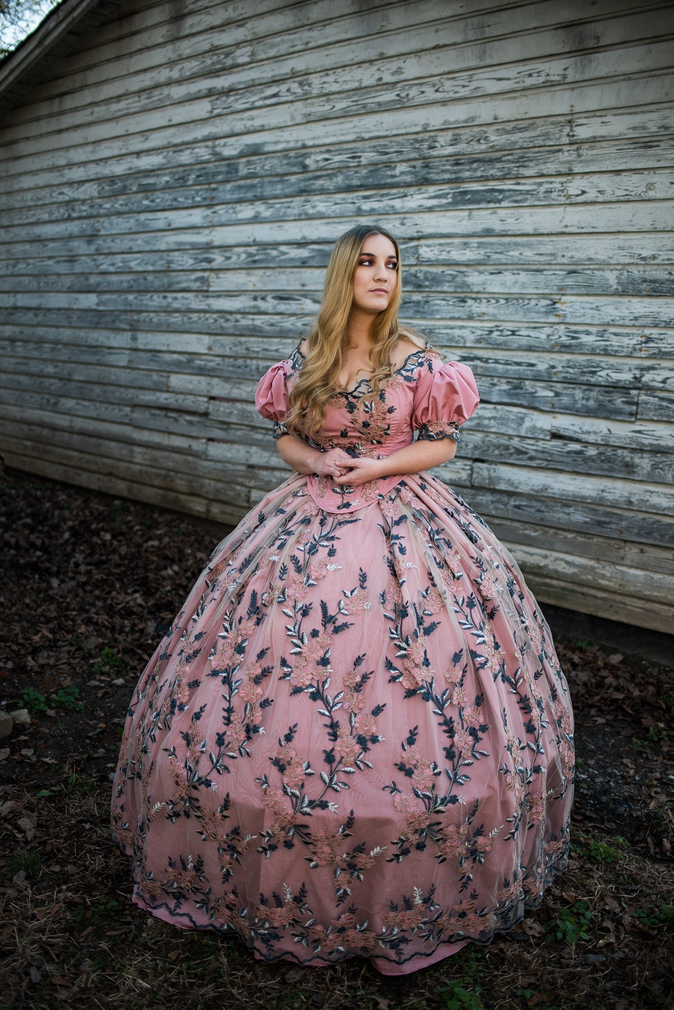 Off Shoulder Princess Ball Gown Costume With Lace Overlay - Etsy