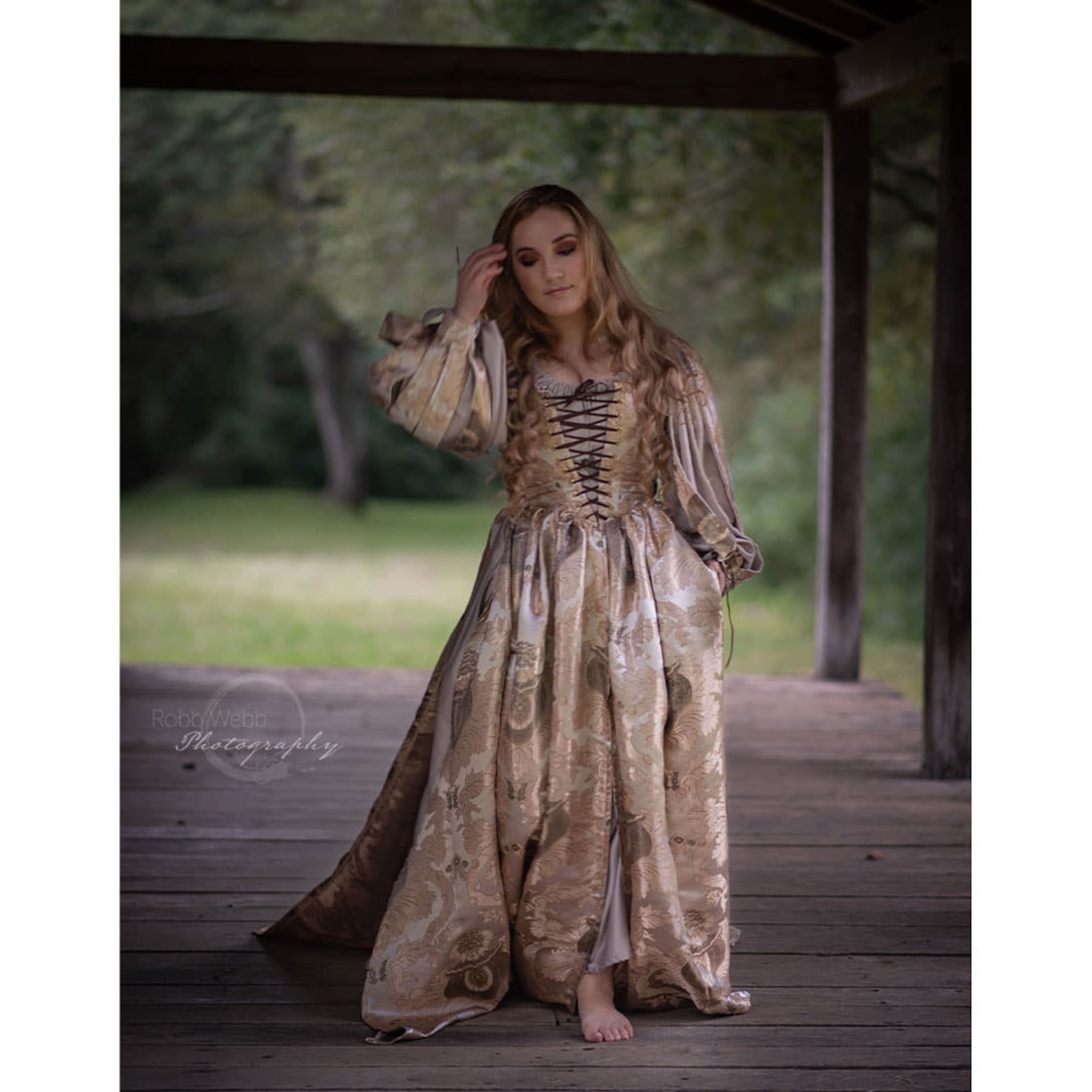 Multi Panel Bodice Overdress Perfect for Any Princess or - Etsy