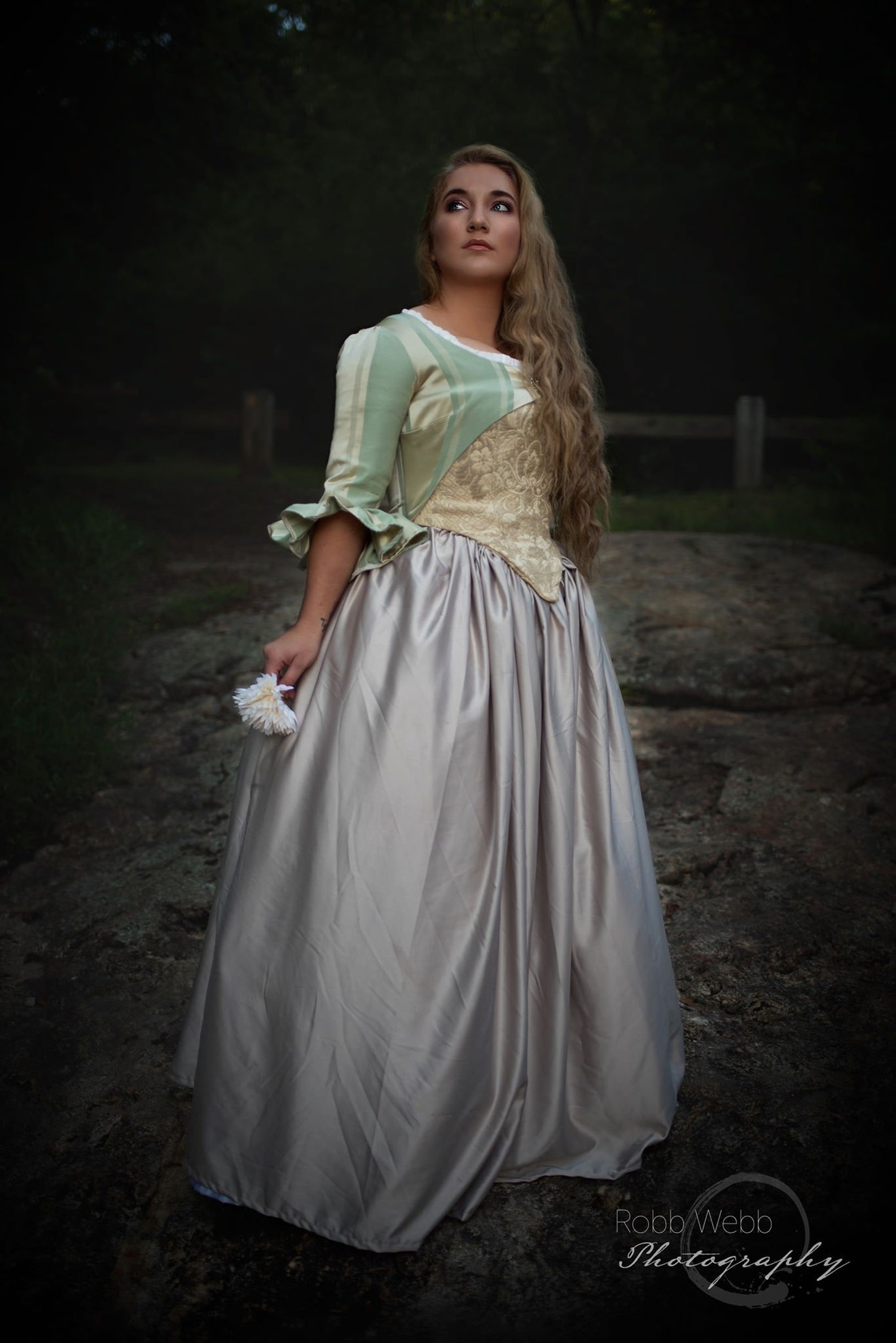 1700's Corset/bodice W/ Skirt Perfect Costume for Princess - Etsy