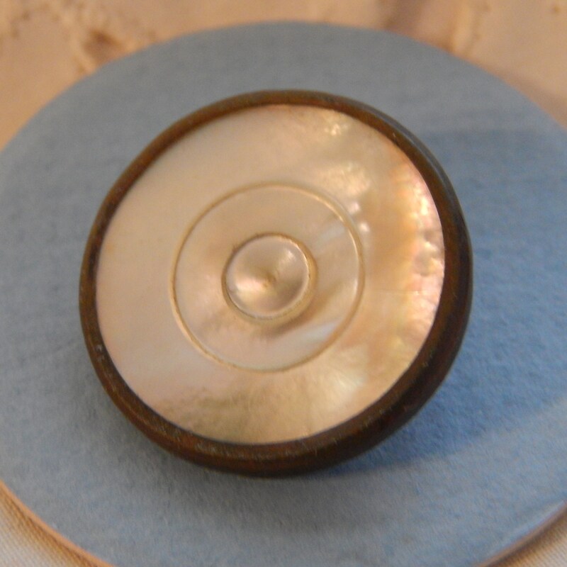 Antique Buttons Shell - Etsy