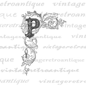 Elegant Letter P Digital Graphic Image Floral Design Illustration ...