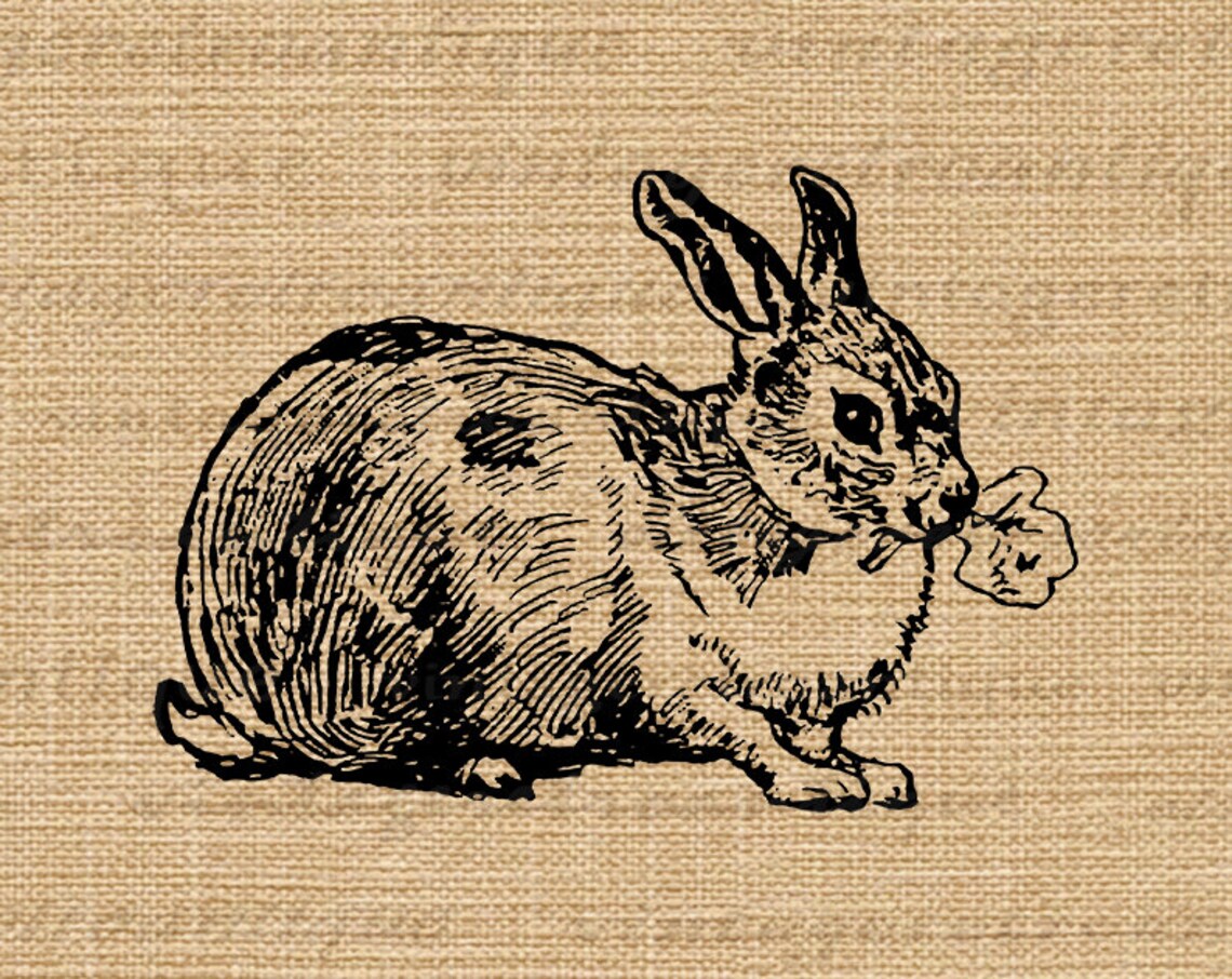 Printable Image Rabbit With Leaf Graphic Cute Bunny Digital | Etsy