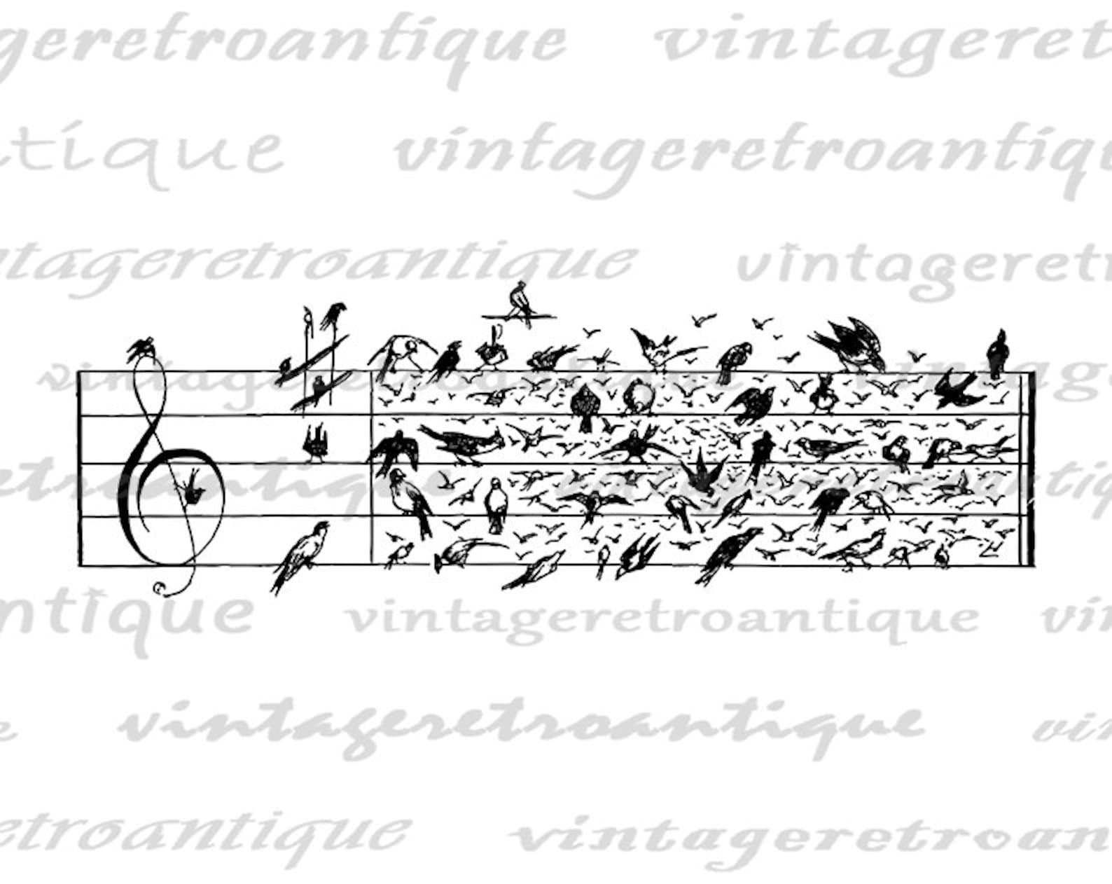 Birds Music Notes Printable Image Graphic Musical Notation Sheet Music ...