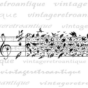 Birds Music Notes Printable Image Graphic Musical Notation Sheet Music ...
