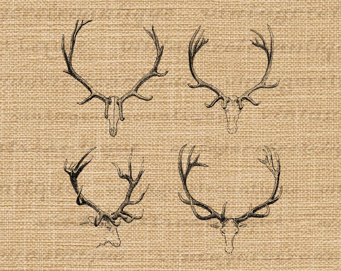 Deer Clip Art Deer Antlers Clipart Deer Antler Print - Etsy