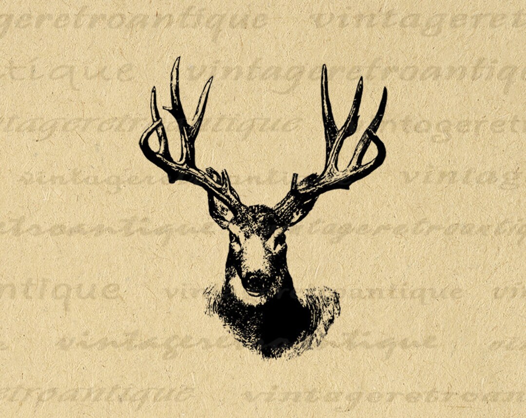 Antique Deer Printable Digital Download Animal Antlers Graphic Image ...