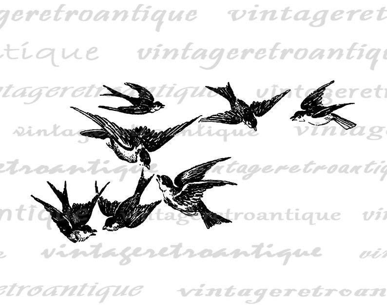 Digital Flying Birds Printable Image Graphic Bird Illustration Vintage ...