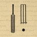 Printable Cricket Bat and Ball Digital Image Download Graphic ...