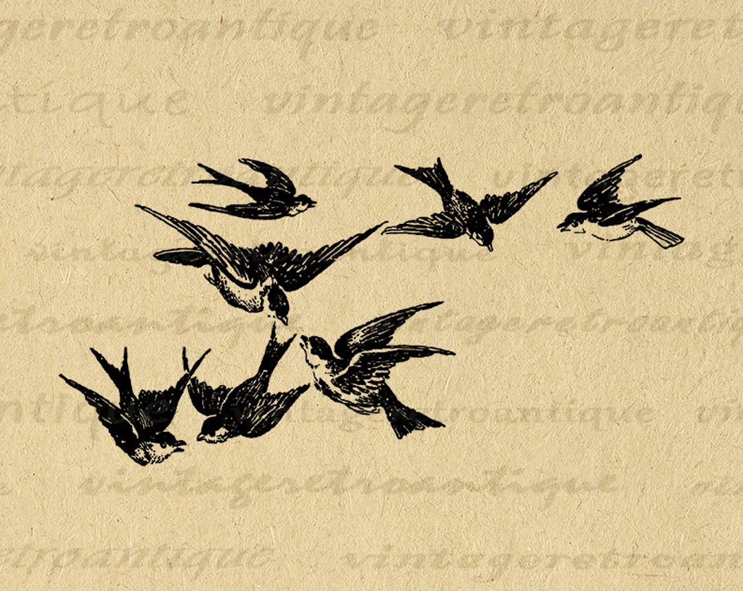Digital Flying Birds Printable Image Graphic Bird Illustration Vintage ...