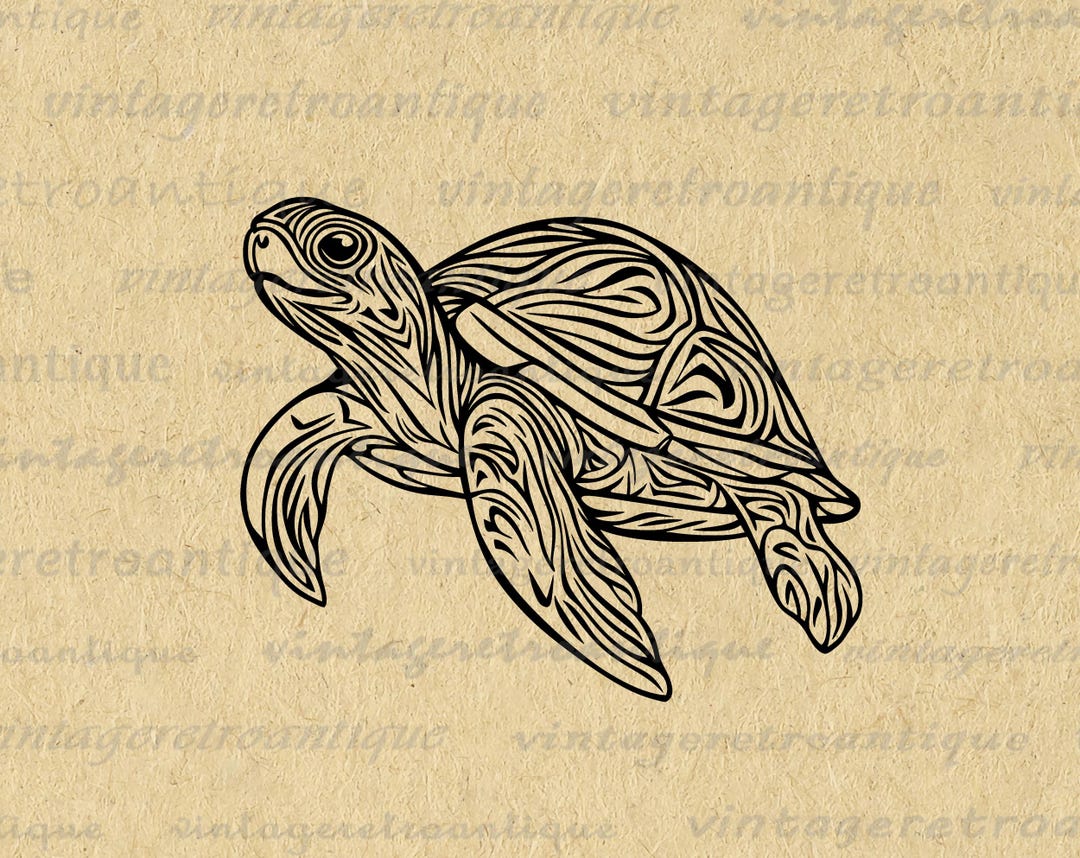 Detailed Sea Turtle Line Art Printable - Ocean Animal Illustration ...