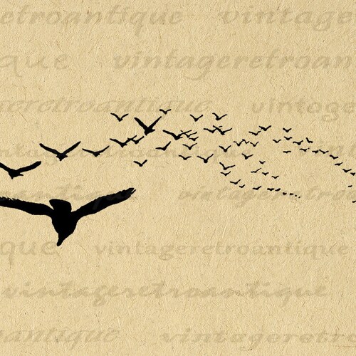 Digital Flying Birds Printable Image Graphic Bird Illustration - Etsy