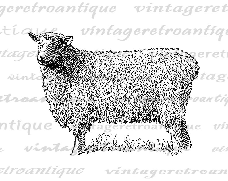 Sheep Graphic Printable Farm Animal Digital Image Download - Etsy