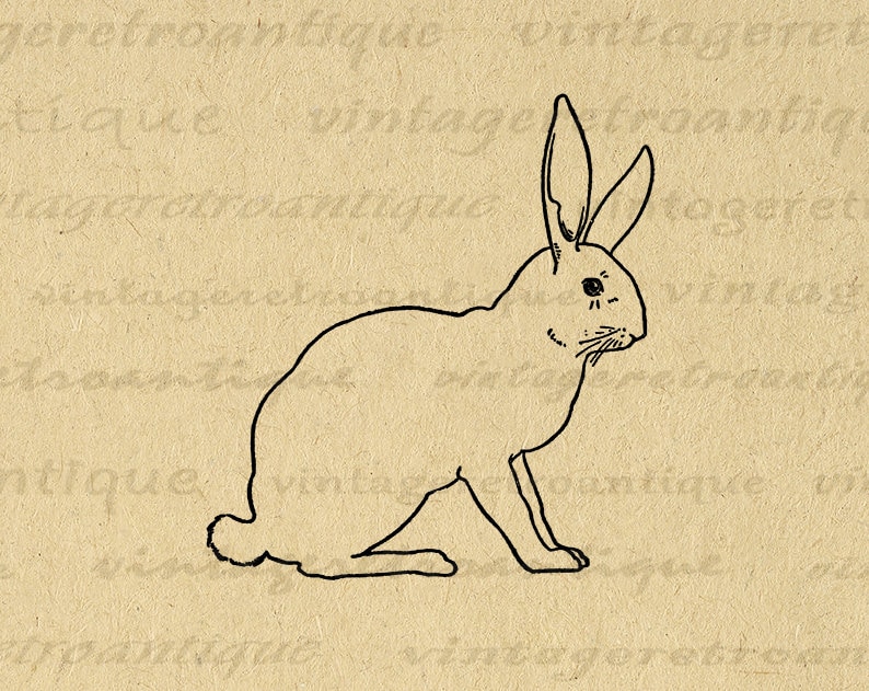 Printable Bunny Rabbit Digital Image Illustration Download - Etsy