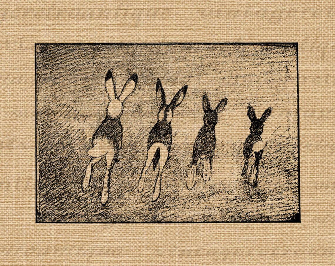 Rabbits Image Digital Graphic Easter Spring Download Bunny - Etsy