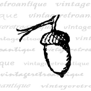 Acorn Image Digital Download Antique Autumn Art Printable Vintage ...