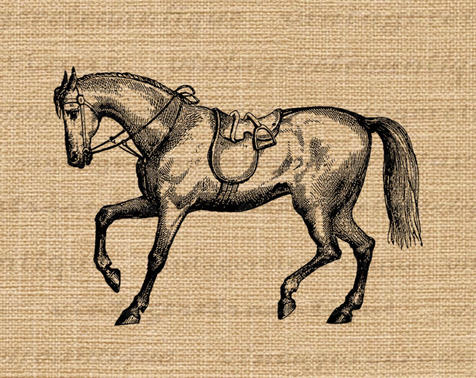 Horse With Saddle Printable Image Graphic Download Digital - Etsy