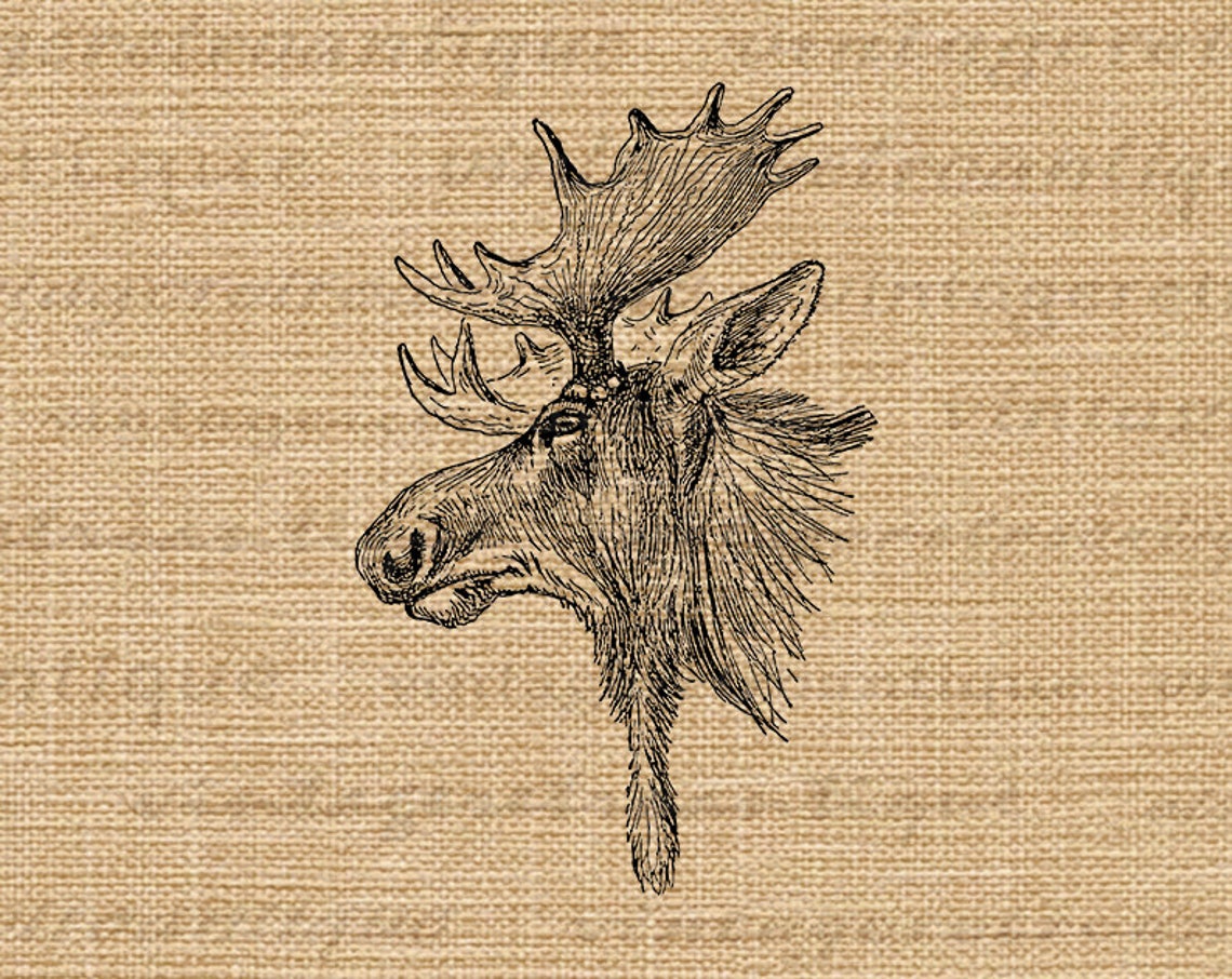 Moose Graphic Printable Download Moose Head Antlers Image Illustration ...