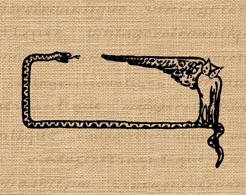Digital Image Snake and Owl Frame Banner Border Graphic - Etsy