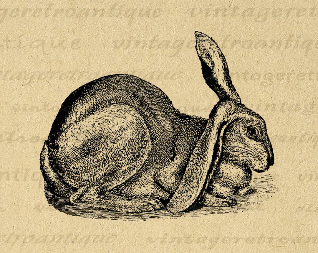 Digital Graphic Rabbit Bunny Printable Antique Easter Image Spring ...