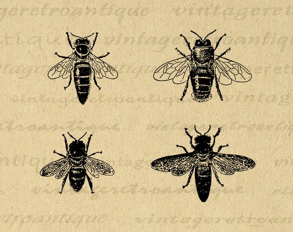 Printable Graphic Bee Collage Sheet Image Bees Digital | Etsy