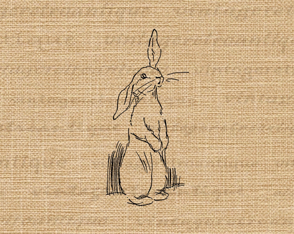 Printable Cute Bunny Rabbit Digital Download Graphic Image - Etsy