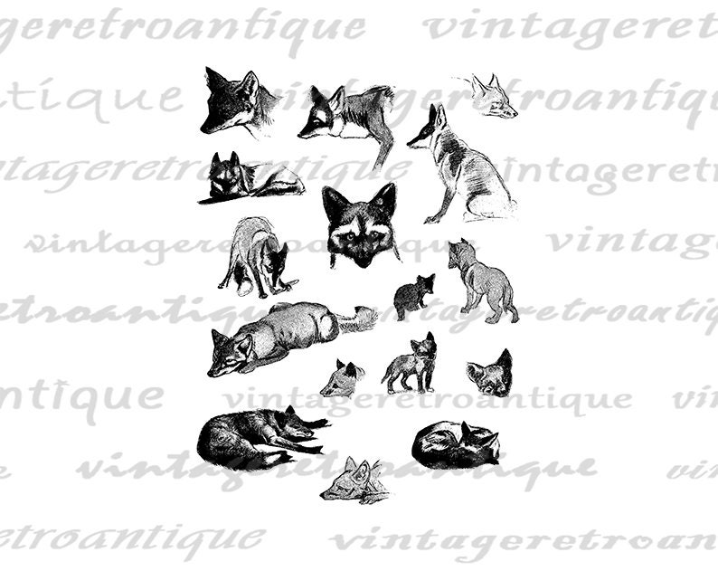 Fox Collage Sheet Graphic Digital Download Foxes Printable - Etsy