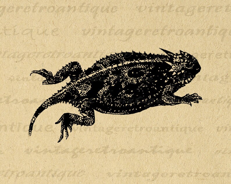 Digital Horned Toad Image Printable Frog Illustration Graphic Download ...