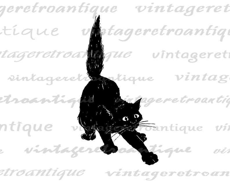 Printable Black Cat Digital Image Graphic Download Artwork - Etsy