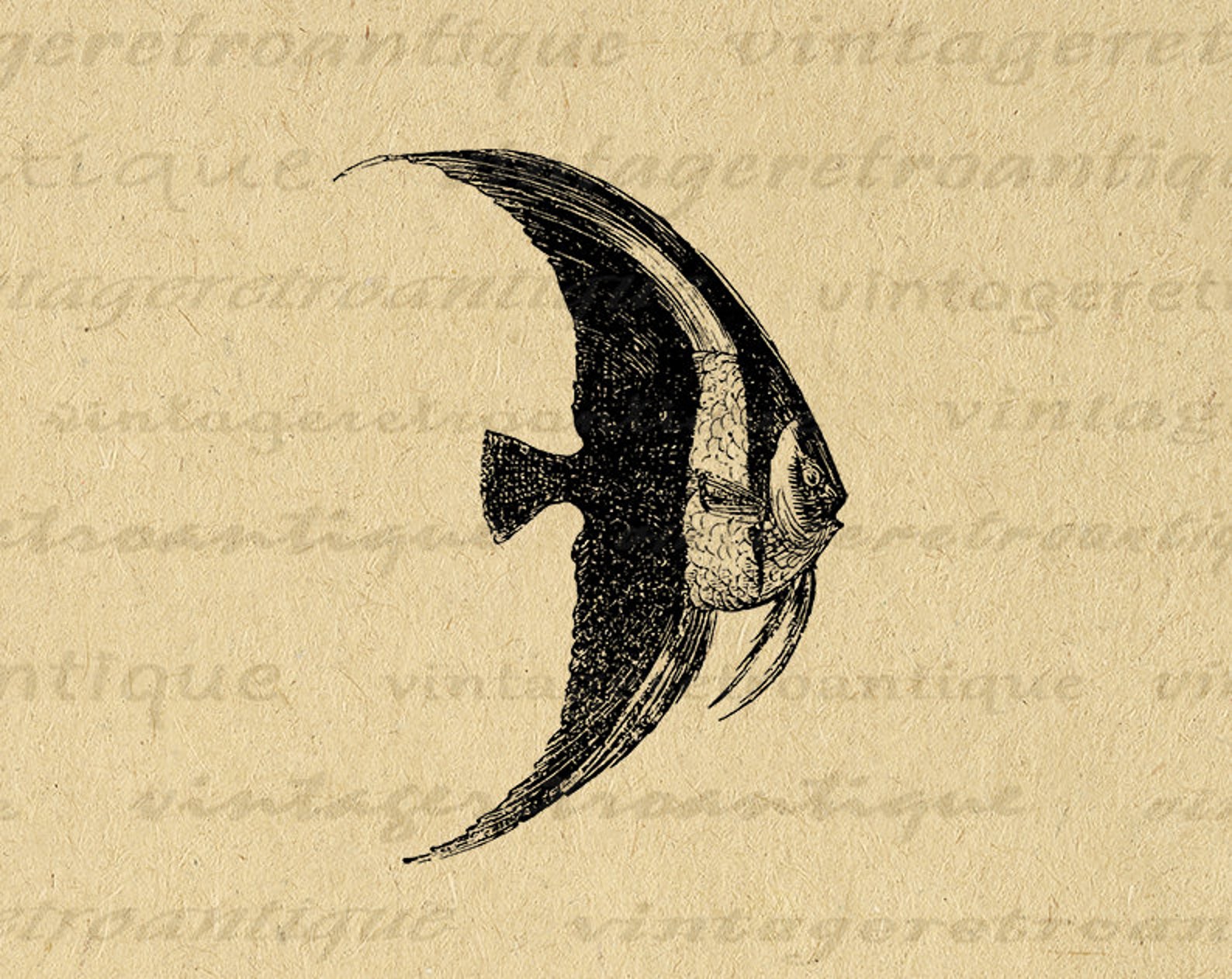 Digital Printable Antique Fish Graphic Ocean Art Fish - Etsy