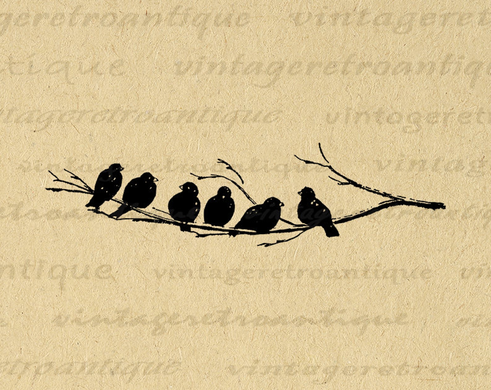 Printable Image Birds on Tree Branch Graphic Bird Artwork Digital ...