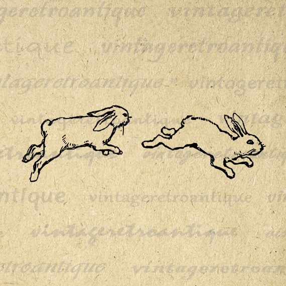 Jumping Rabbit Drawing