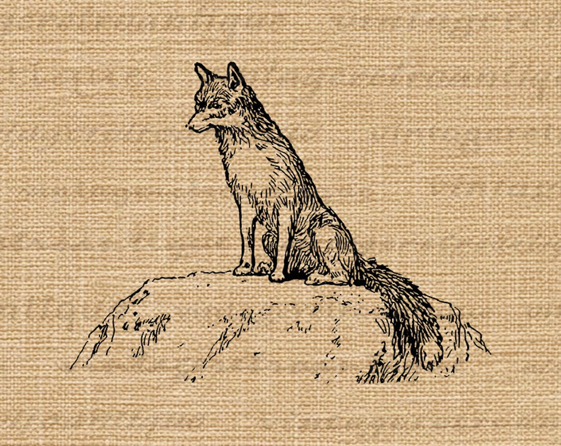Printable Fox Antique Graphic Fox Illustration Digital Image | Etsy