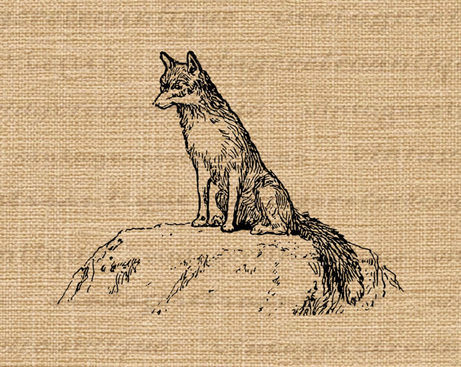 Printable Fox Antique Graphic Fox Illustration Digital Image | Etsy