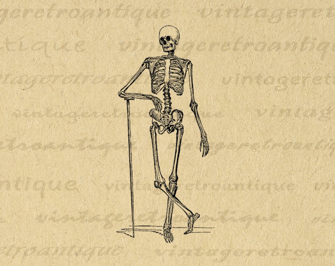 Digital Printable Skeleton Graphic Human Skeleton Download Image ...