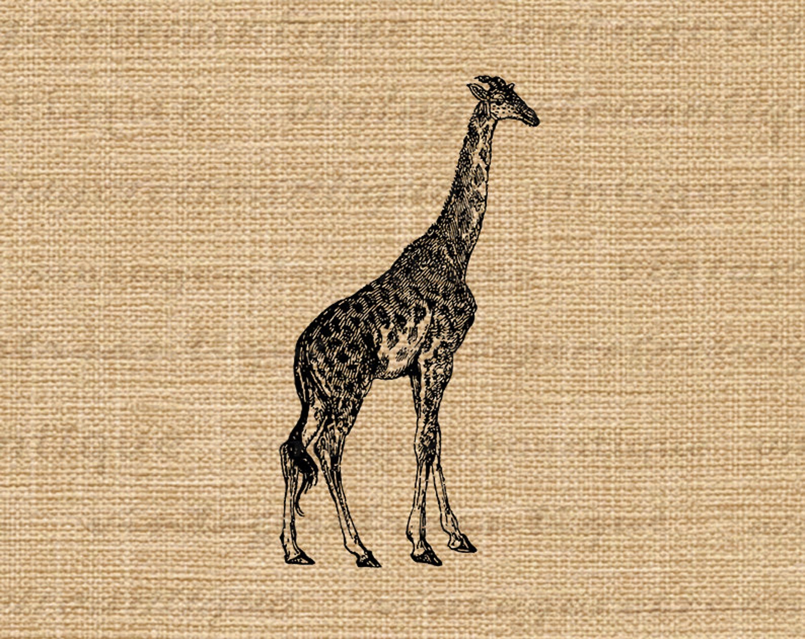 Giraffe Printable Graphic Image Animal Artwork Digital - Etsy