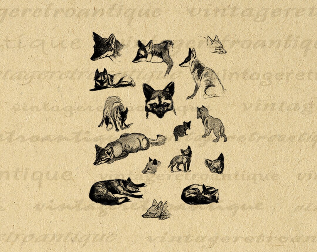Fox Collage Sheet Graphic Digital Download Foxes Printable Foxes ...
