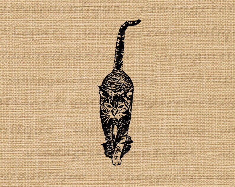 Cat Digital Image Graphic Illustration Download Housecat Printable ...