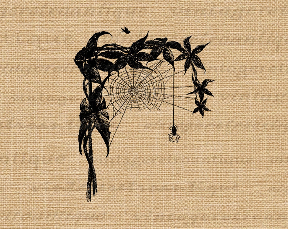 Printable Digital Spider Web and Spider Graphic Image Download - Etsy
