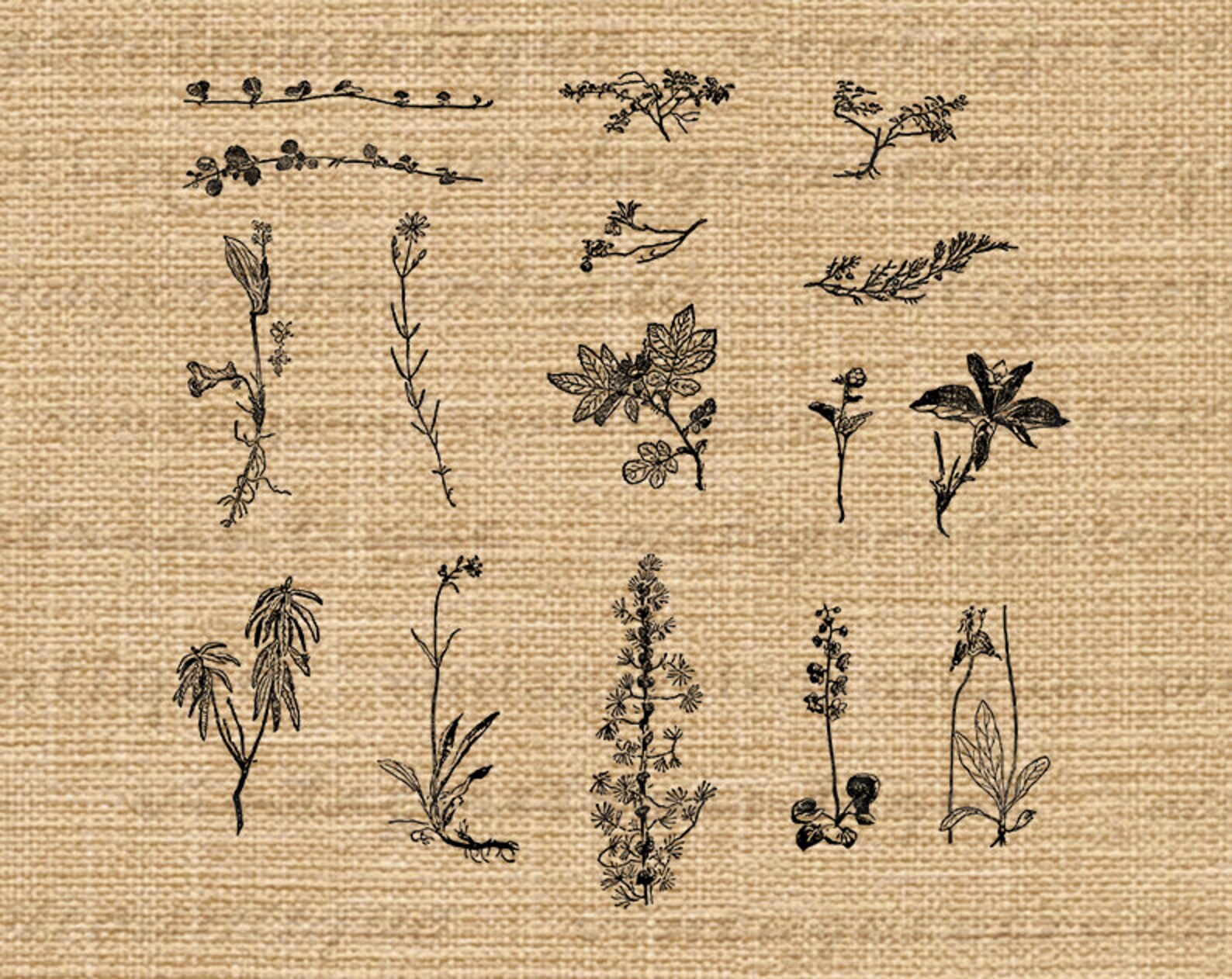 Flower and Plant Collage Sheet Digital Printable Leaves and | Etsy