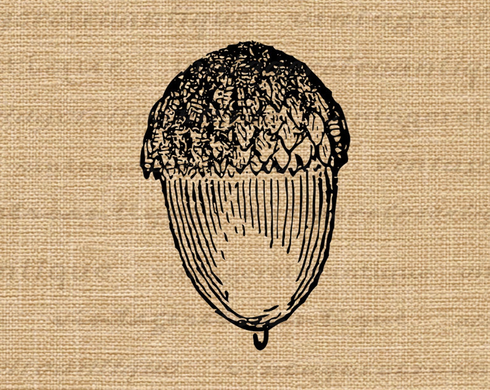 Digital Acorn Graphic Image Artwork Nature Fall Autumn Printable Acorn ...