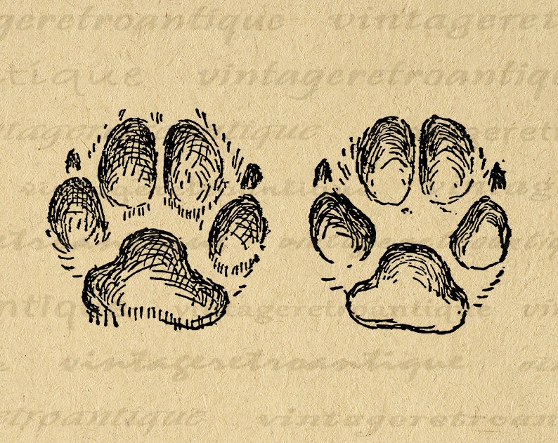 Paw Prints Digital Image Printable Dog Paw Graphic - Etsy