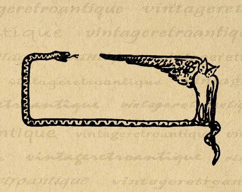 Digital Image Snake and Owl Frame Banner Border Graphic - Etsy