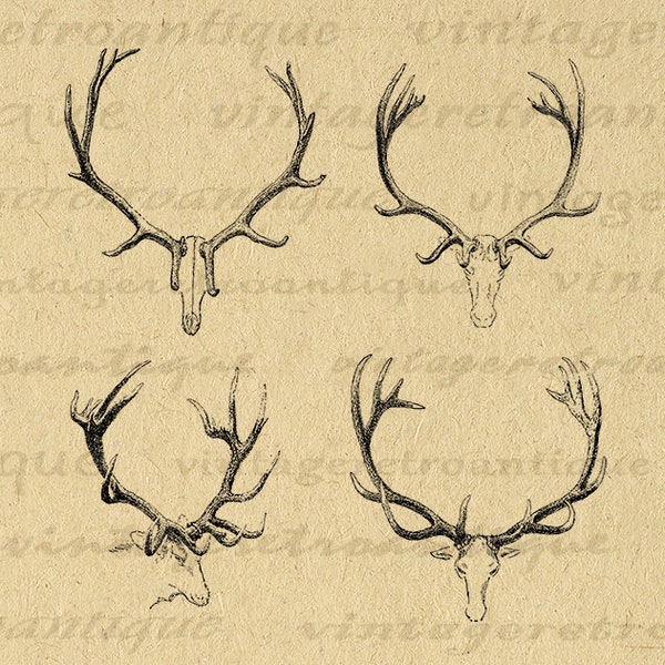 Antler Print - Etsy