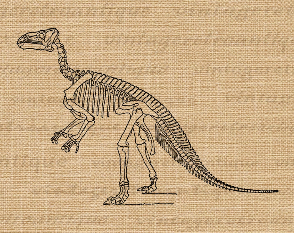 Printable Graphic Dinosaur Skeleton Download Image Digital | Etsy
